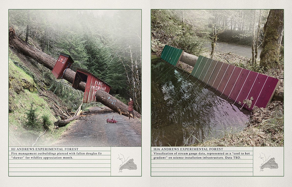 Field School Explores Wildfire Recovery Through Art in Nature | School ...