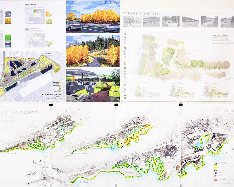 Landscape Architectural Presentation Board